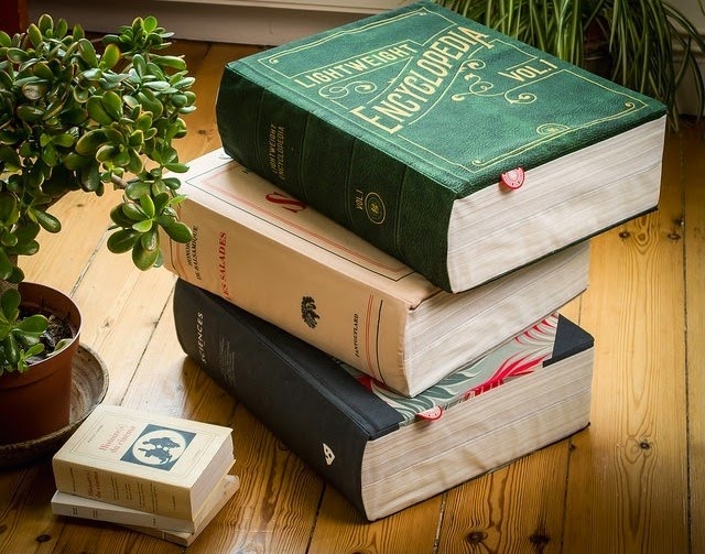 The Frivolous Bibliophile: Bonjour Mon Coussin Giant Book Cushions