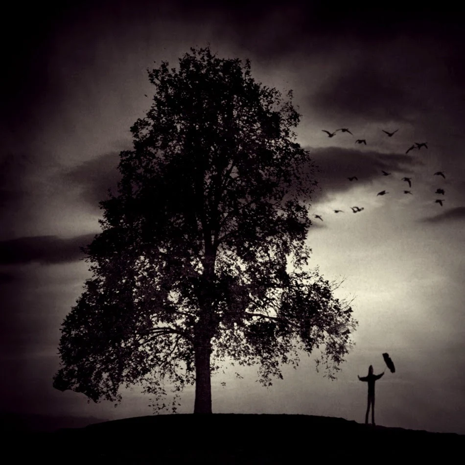 Anja Bührer | Surreal silhouettes | Tutt'Art@ Masters