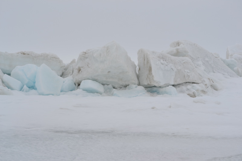 Arctic Sea Ice Adventures