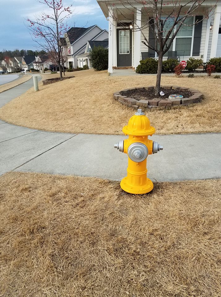 Yes, the color of your nearby fire hydrant matters...