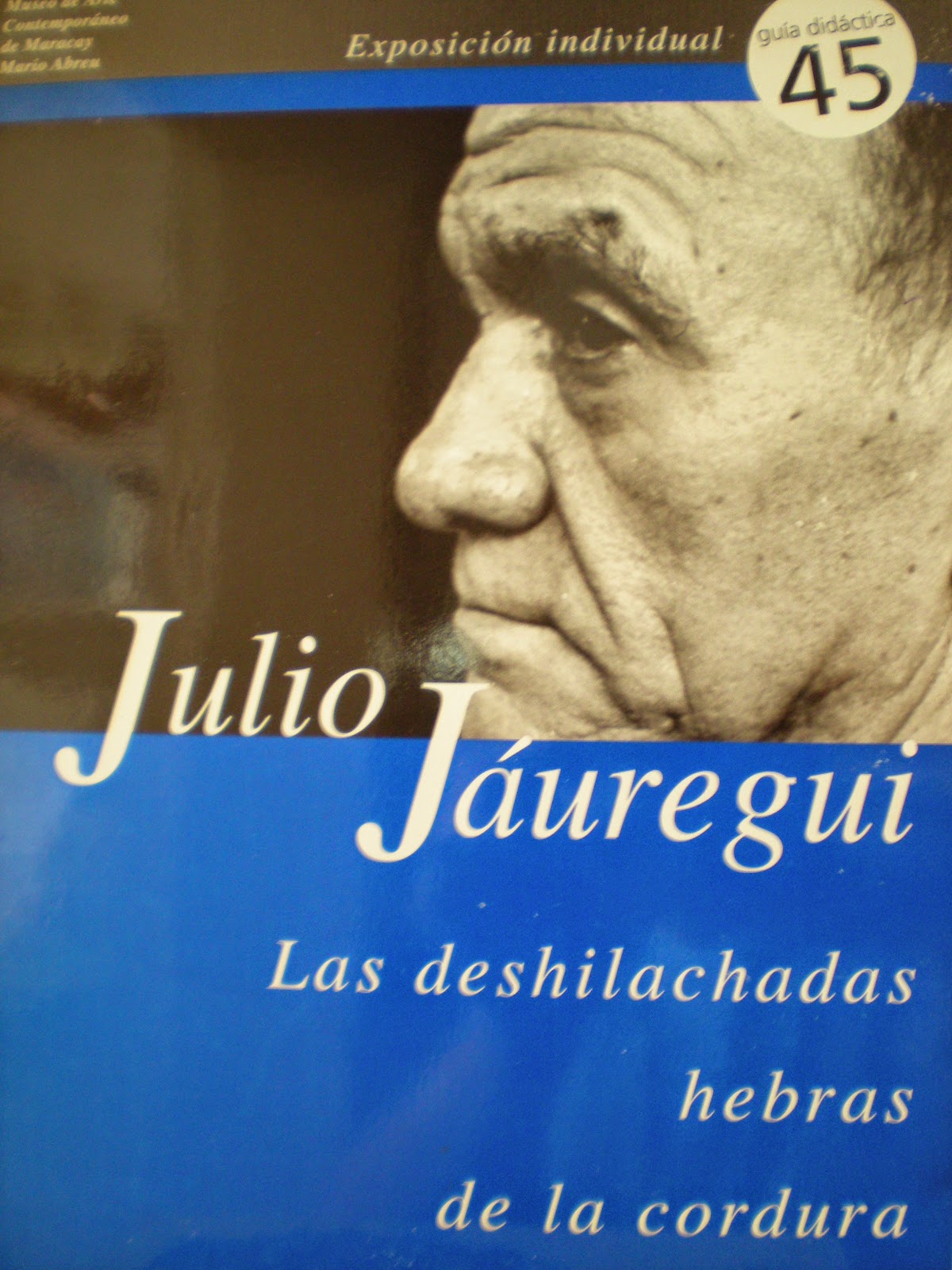 LOS HIJOS DE SIDURI: ¿Quién es Julio Jáuregui?