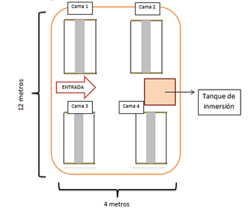 Manejo de semilleros para hortalizas