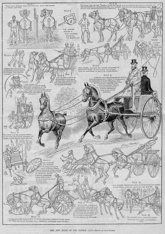 Eaglesfield Percherons: Tandem Driving Drafts