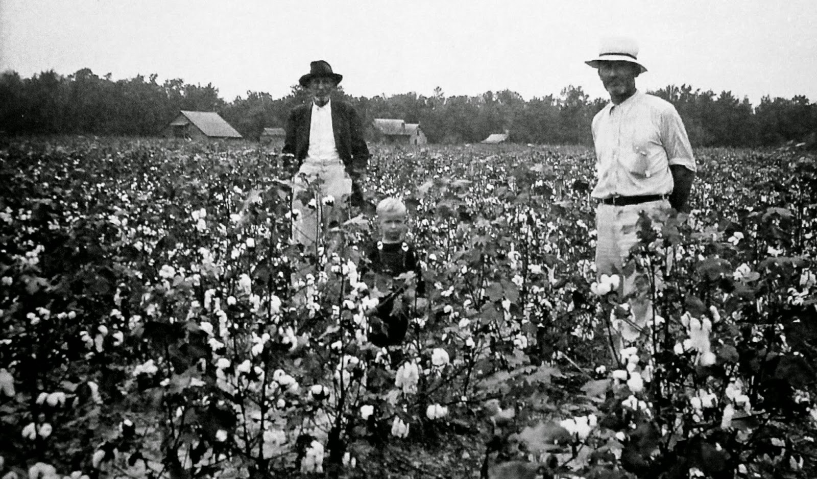 Capture America Journal: Little River SC - river, history and restaurant