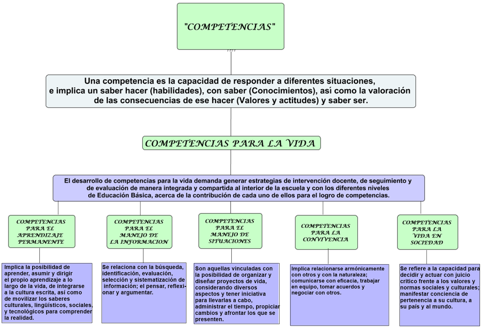 "Competencias en la educación