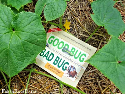Good Bugs vs. Bad Bugs | The Struggle between Good and Evil in the ...
