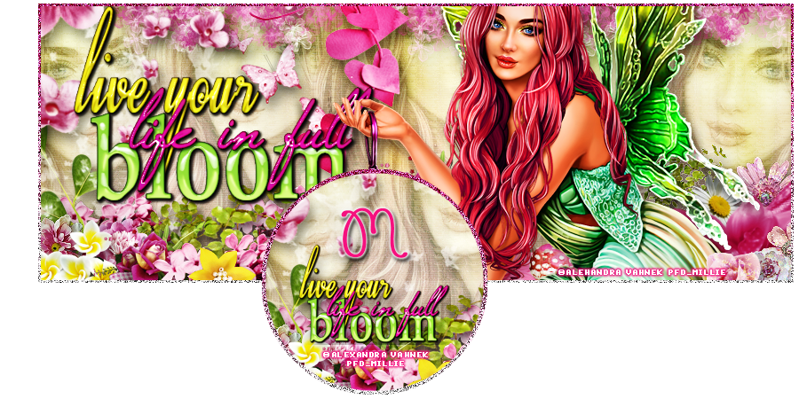 Millie's PSP Madness: SNAGGABLE TIMELINE featuring Camellia by ...