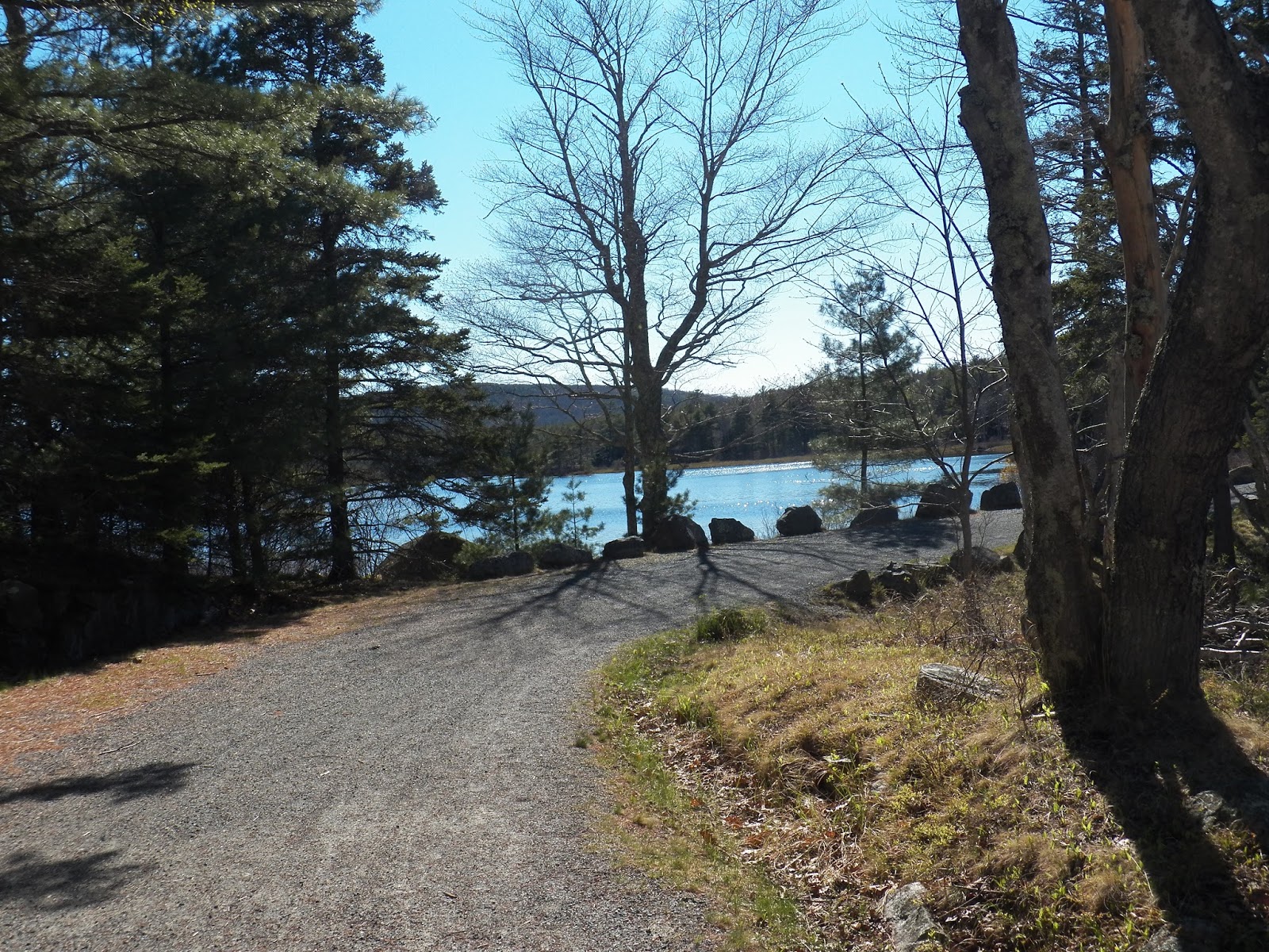 ABANDONED TRAILS OF ACADIA NATIONAL PARK: ABANDONED WITCH HOLE POND ...
