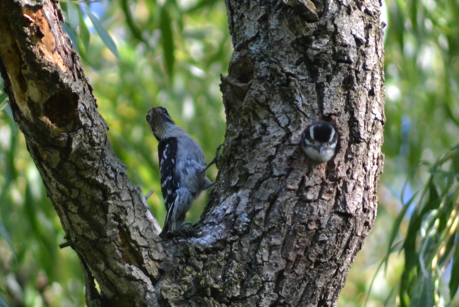 Landscape, Nature and Wildlife Photography done by Angie K. Johnson ...