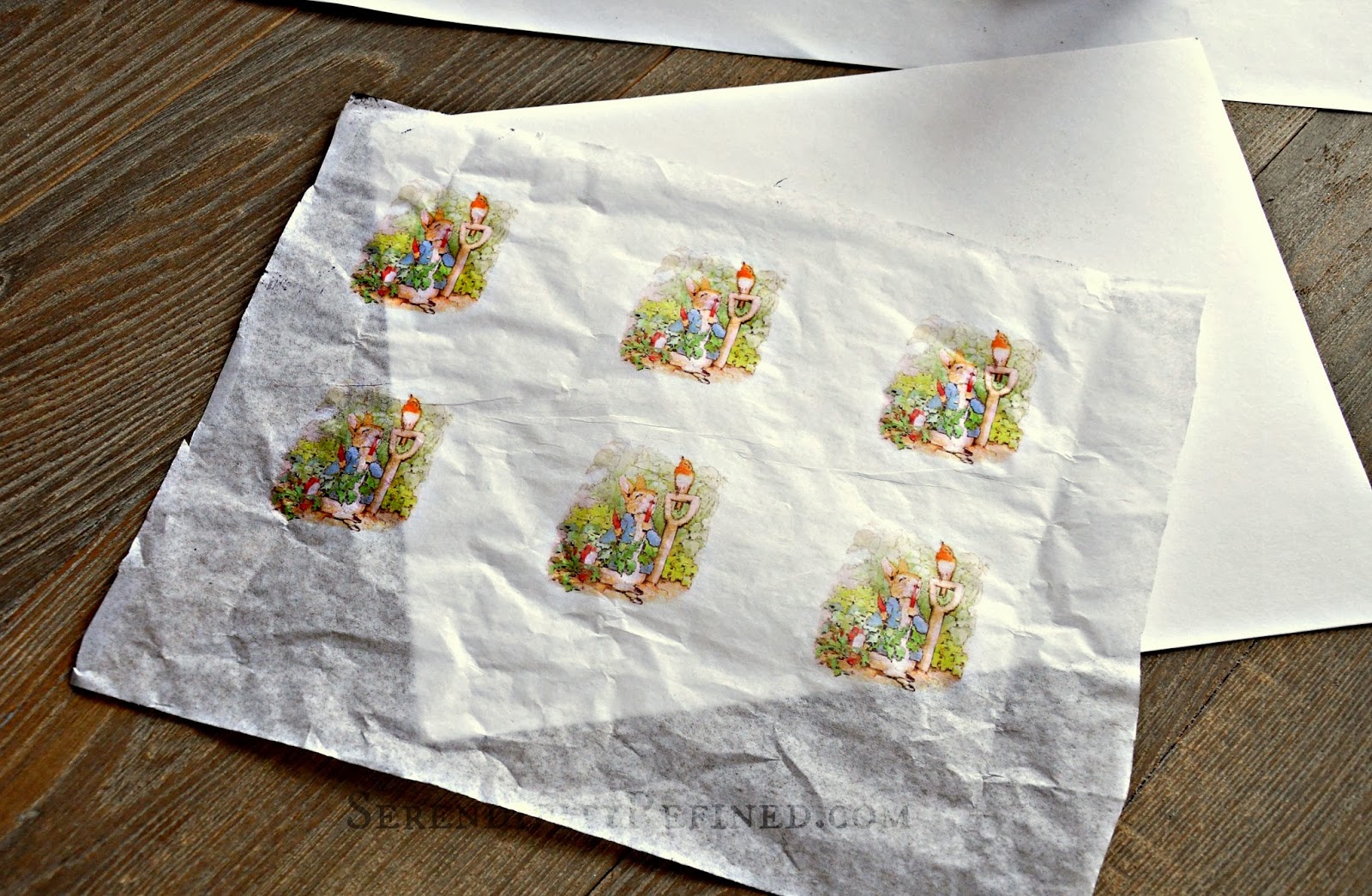 Serendipity Refined Blog: Easy Spring DIY Craft: Peter Rabbit Decorated ...