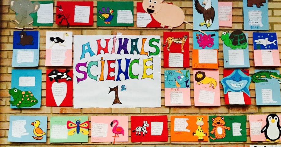 Seneca School - Year 1-2 - Science / English: Natural Science - Project ...
