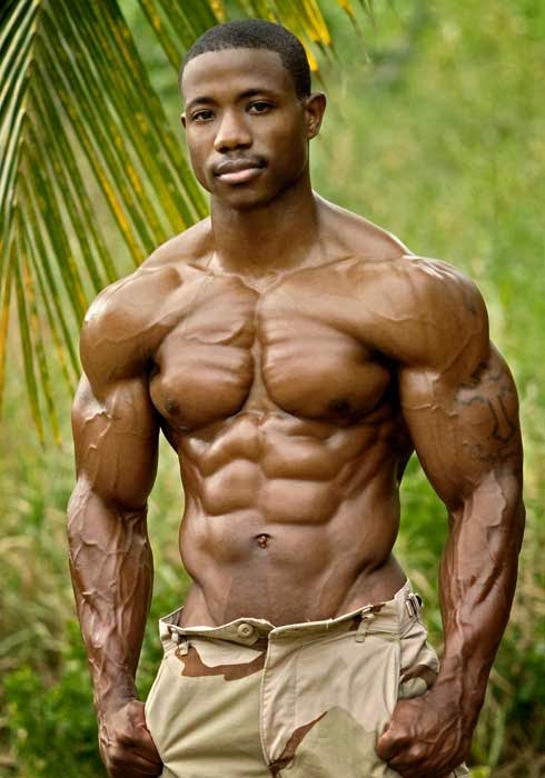 How To Build Solid Body ! | sdasdas