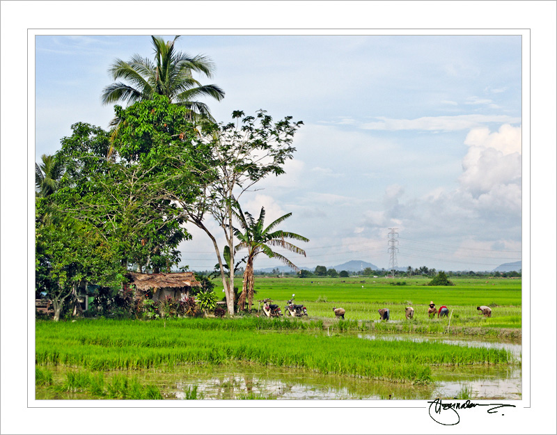 KODIANG AGRARIAN EXPO 2012: About the location