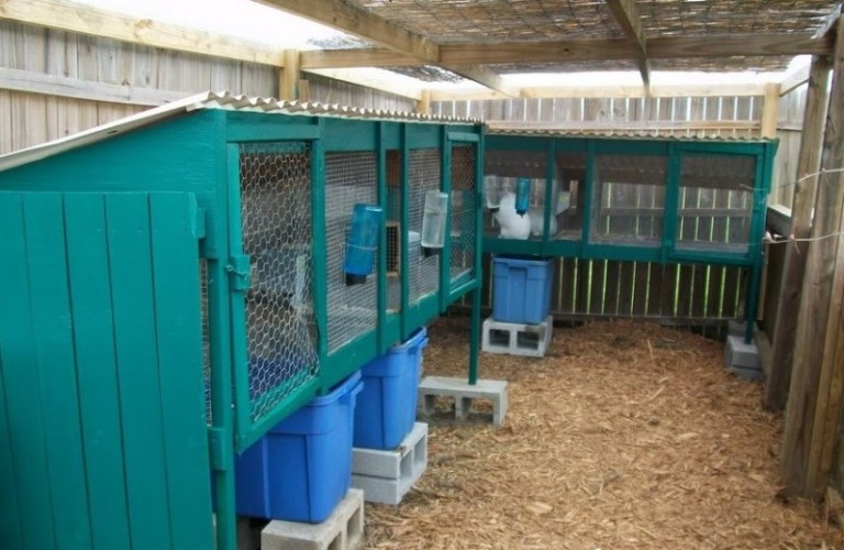 Membuat Kandang Kelinci Sederhana yang Baik dan Sehat