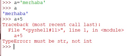 Python: Temel Kavramlar