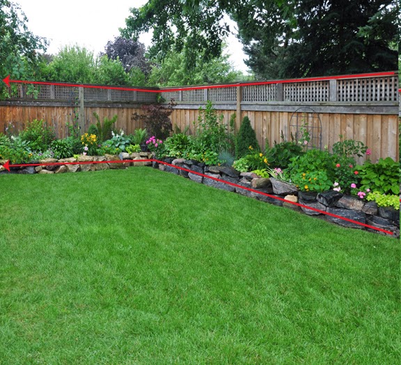 Three Dogs in a Garden: Using Lines to Advantage in a Garden Setting