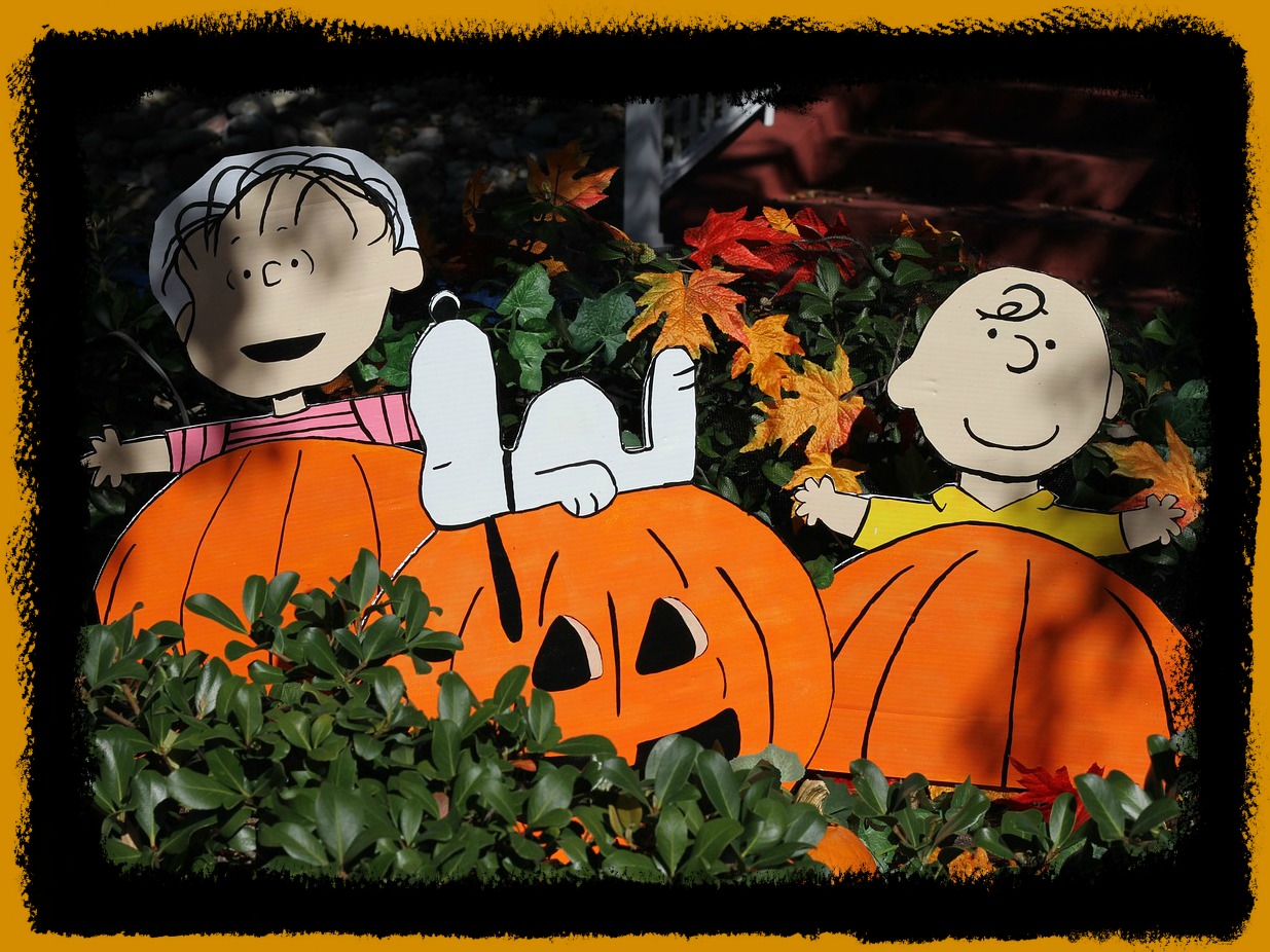 Navigating Life's Curves : Lessons from Linus and The Great Pumpkin