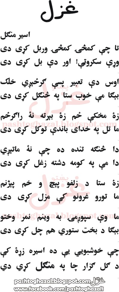 Pashto Ghazal by Asir Mangal | Pashto Ghazal (Poem)