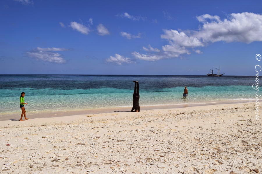 FORGOTTEN ISLANDS: What is the new best diving site in the world