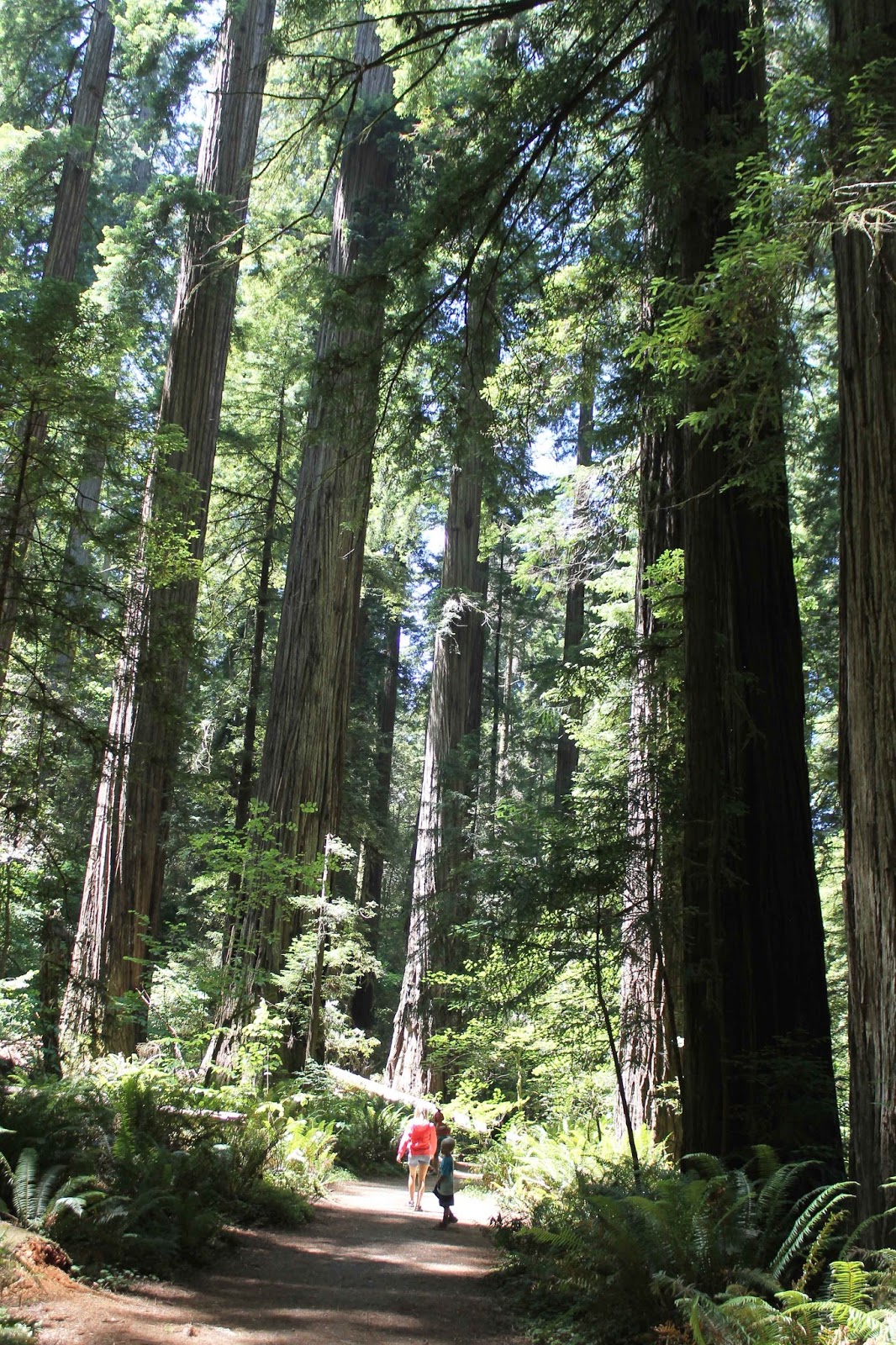 CommuniKating: Crater Lake, OR Caves, Redwoods, and the OR Coast