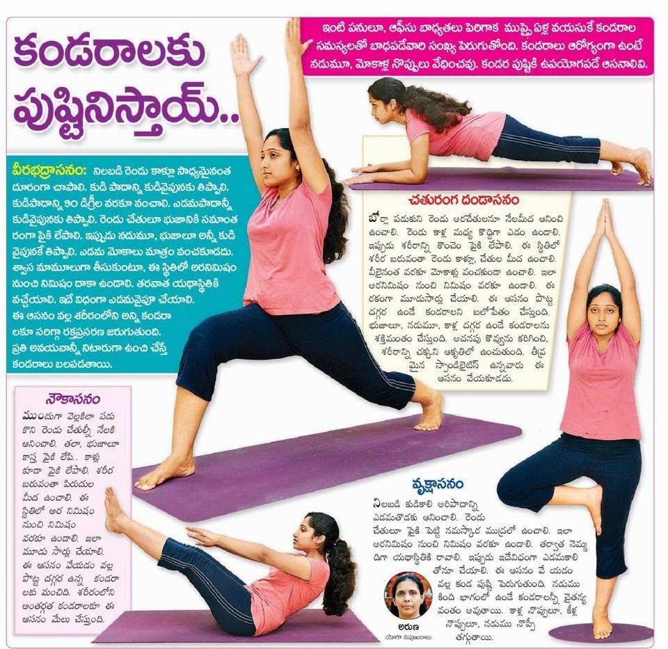 TELUGU WEB WORLD: YOGA GIVES FITNESS TO HUMAN BODY