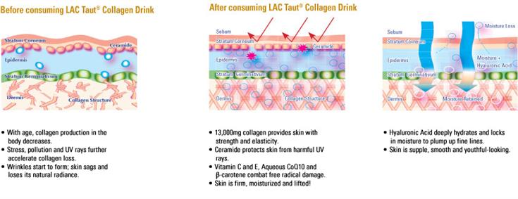 oh{FISH}iee: Shine Through The Youth with LAC Taut®