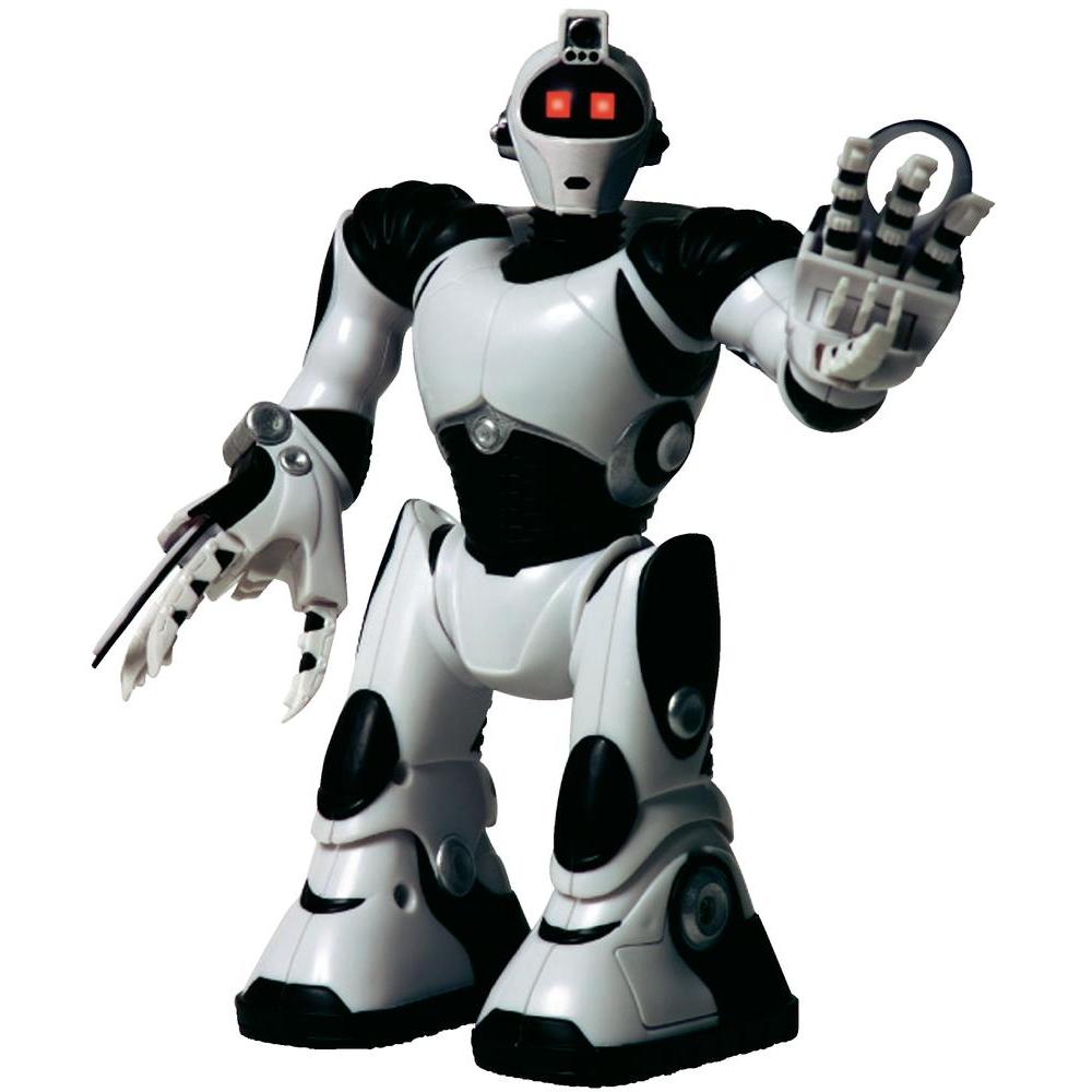 Far Future Horizons : The Rise of the Robosapiens