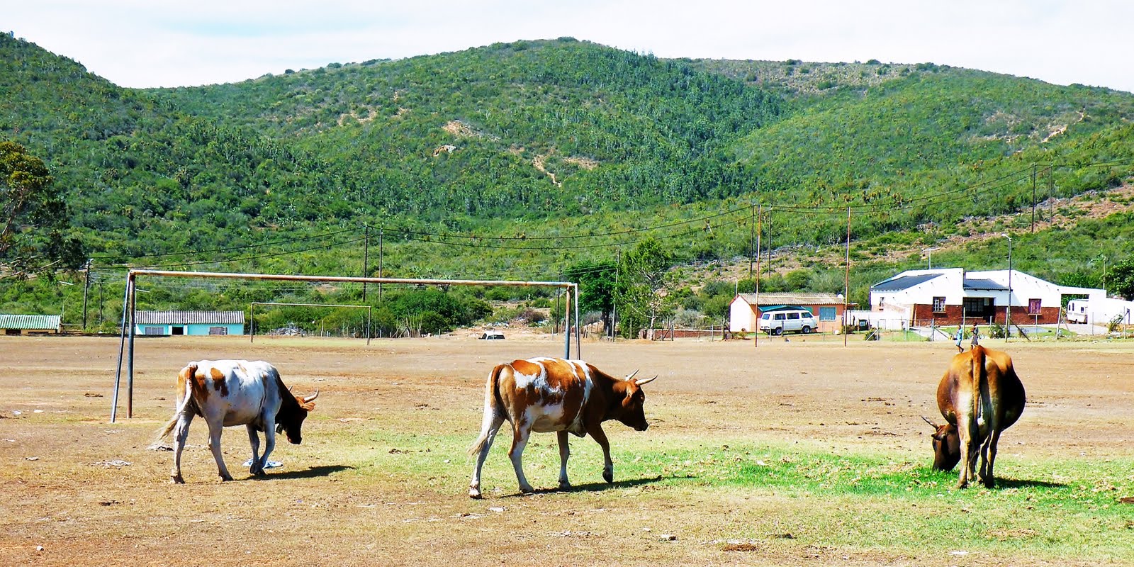Go with Henry: Eastern Cape tour highlights
