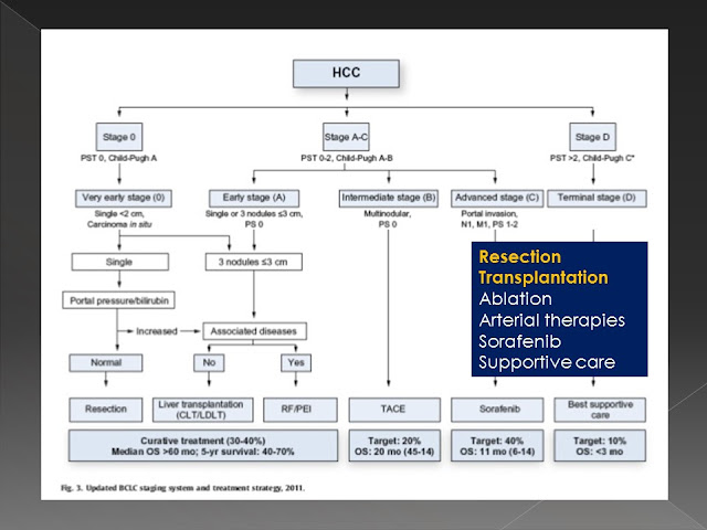 Why BCLC algorithm is not the perfect algorithm for HCC treatment at ...