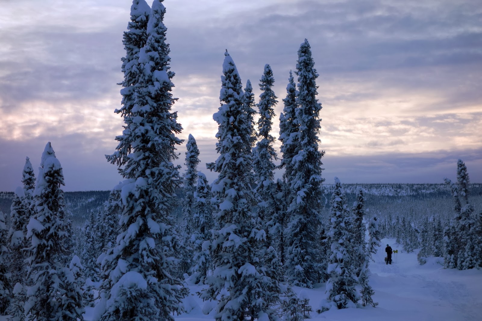 Jill Outside: January 2014