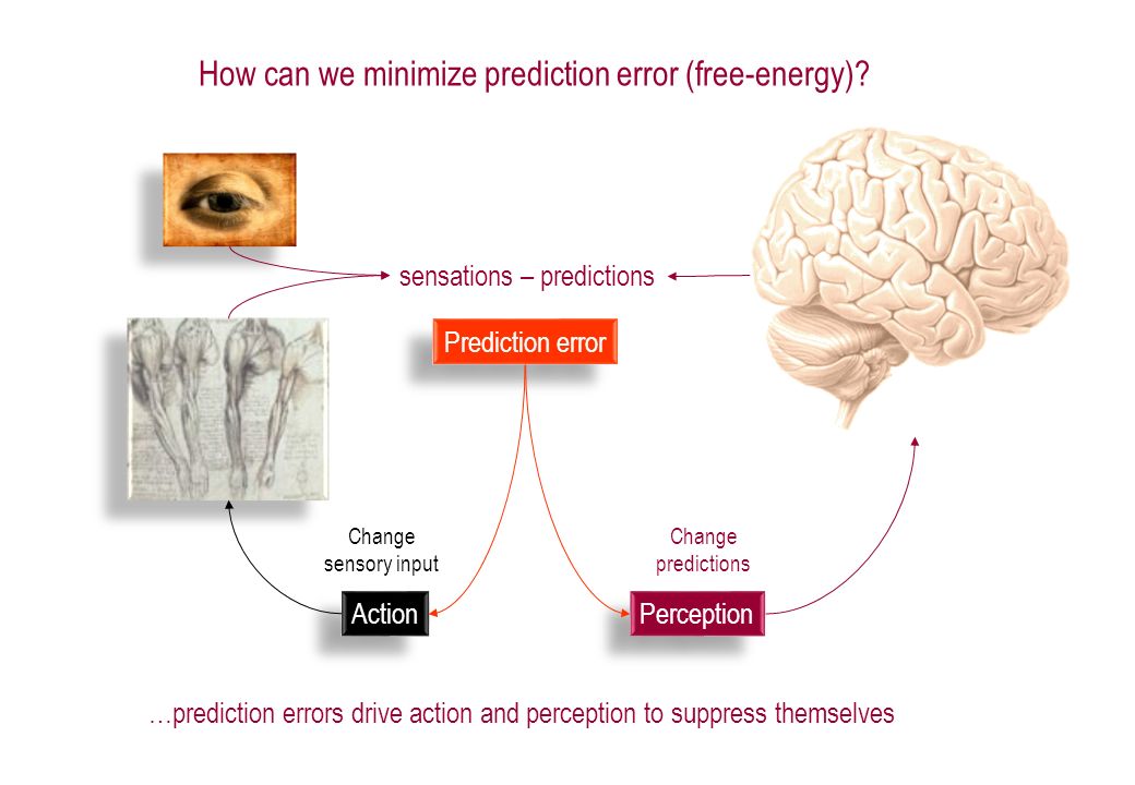 Biophilia: Backward and Forward... Steps to Perception