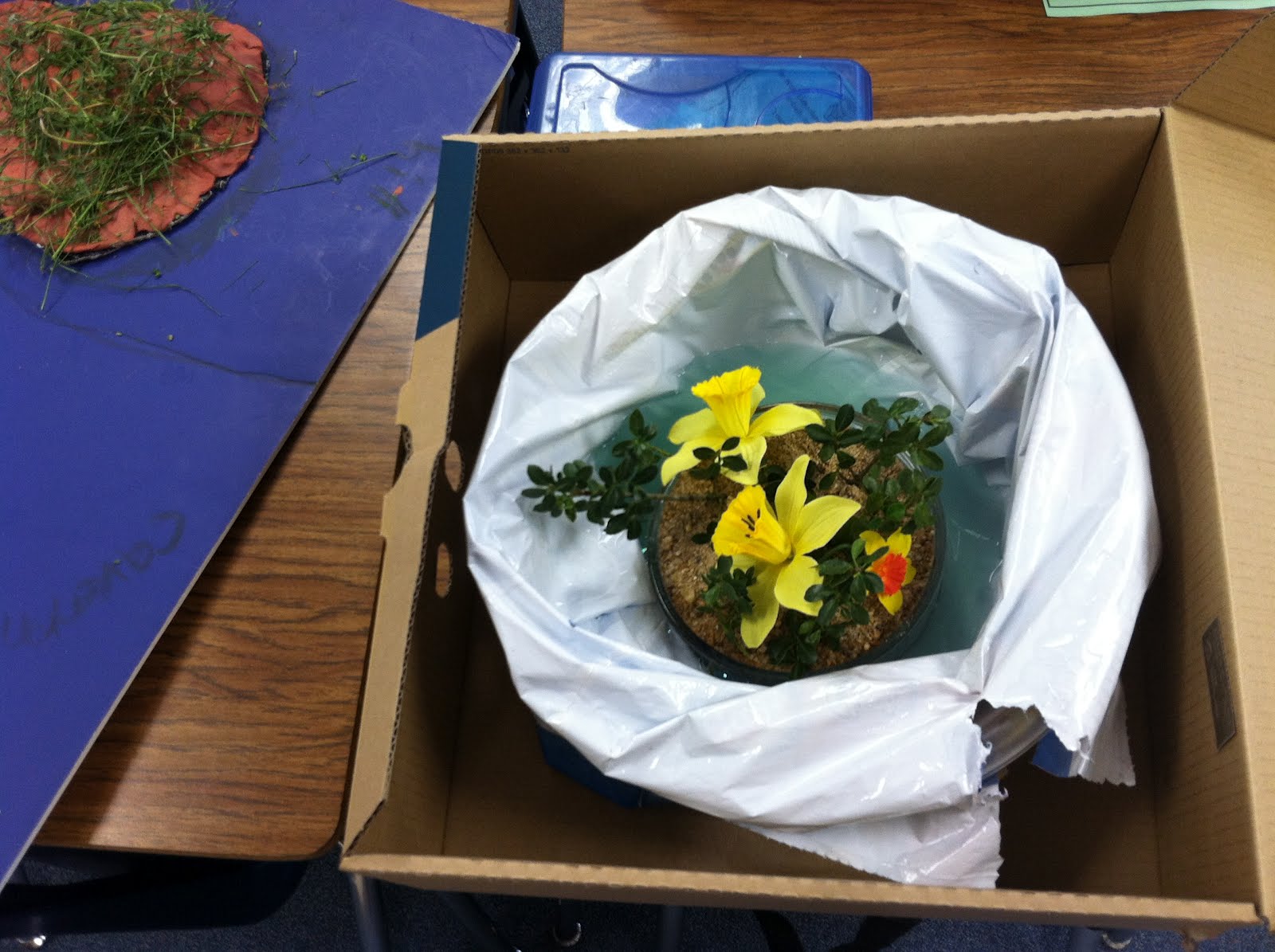 welcome-to-3rd-grade-landform-projects