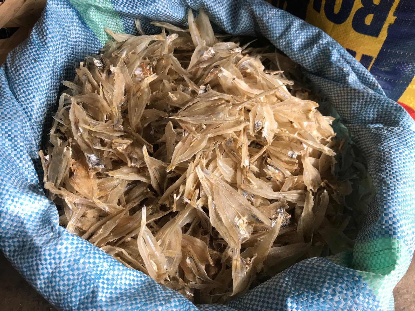 Roxas City : Exploring the Philippines' Seafood Capital - Escape Manila