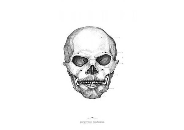 Get FuN Here: The Skulls of Famous People