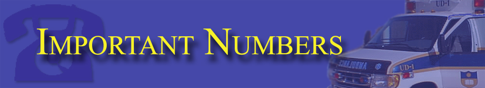 SARVA 4 U: Important Telephone Numbers