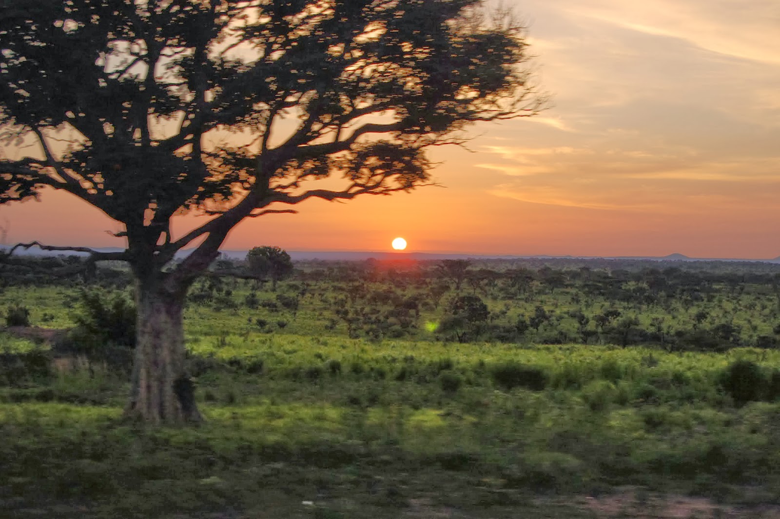 Viagem para Cacuso - Angola