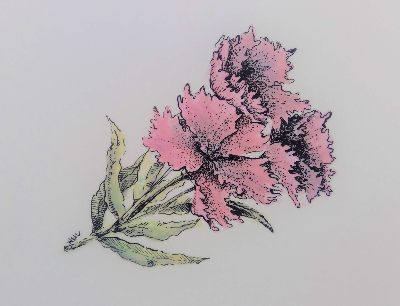 Linda Weil Fine Art: Composite Drawing