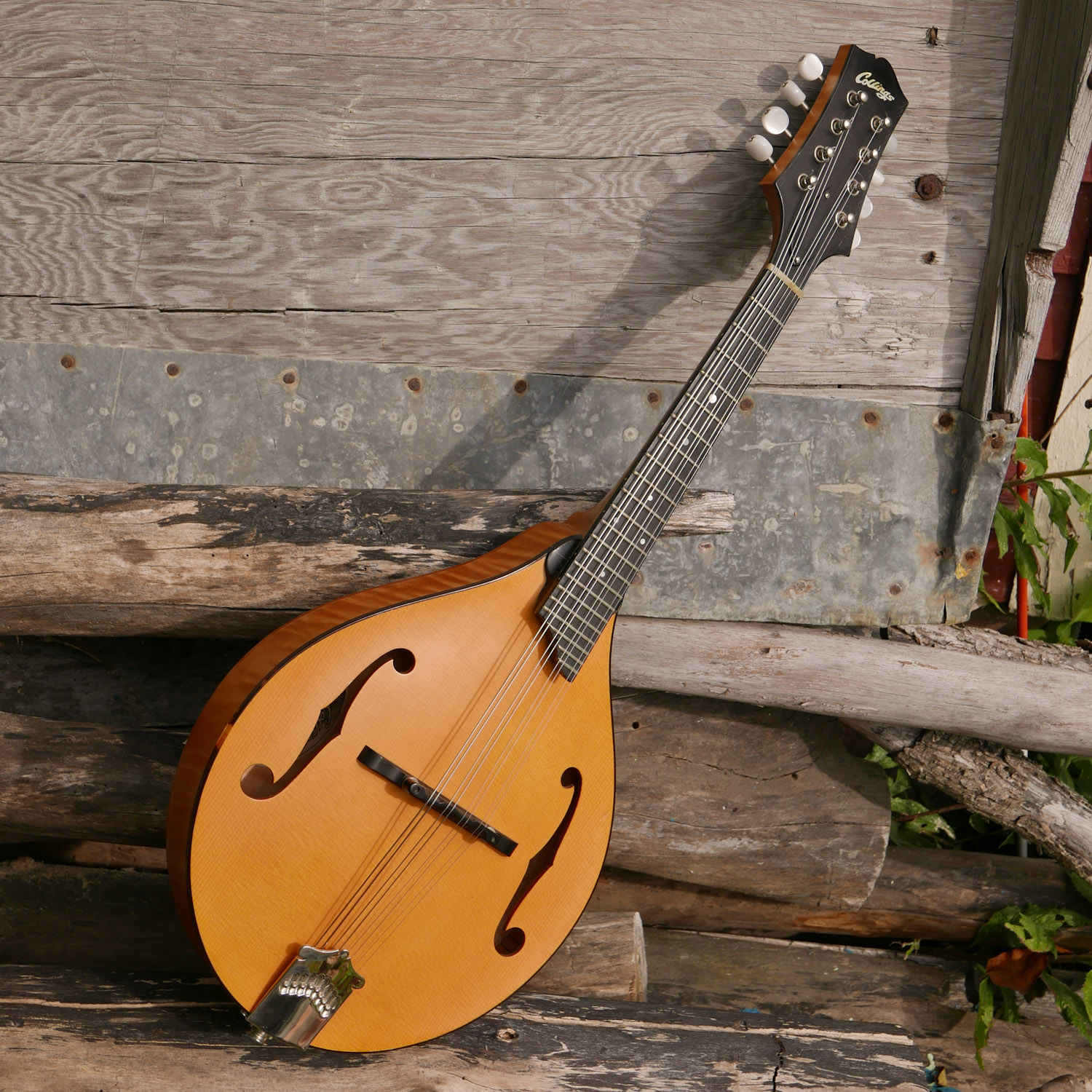 2013 Collings MT Carved-top Mandolin
