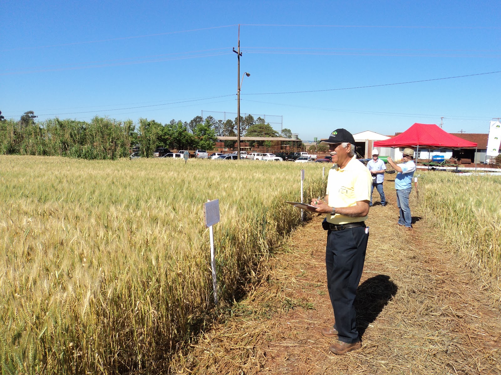 Sociedad Cooperativa Pirapó Agric. Ltda.: julio 2012
