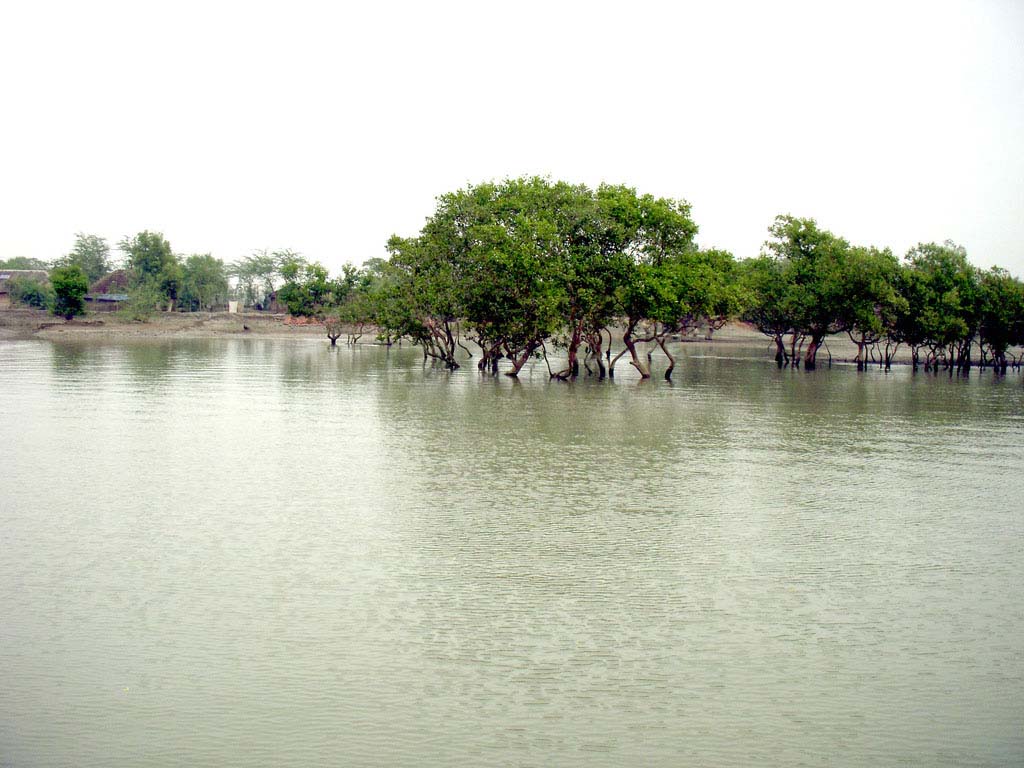 Sundarbans National Park
