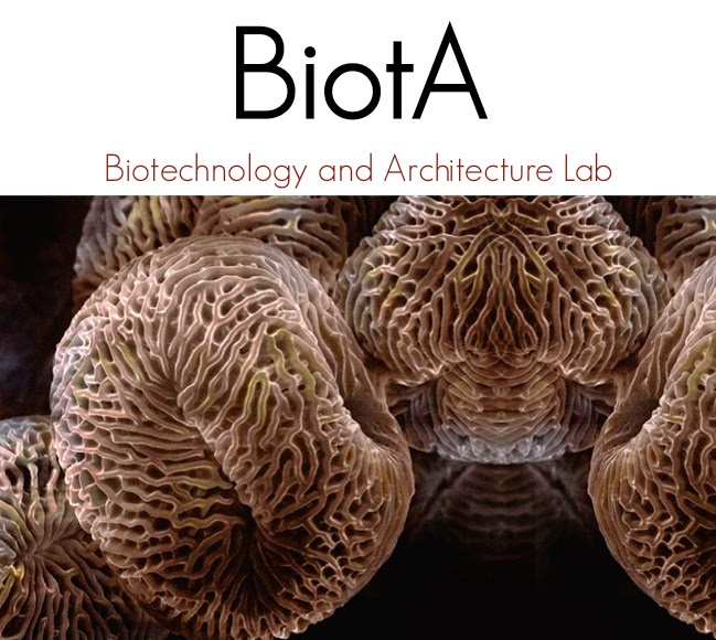 Marcos Cruz Architect