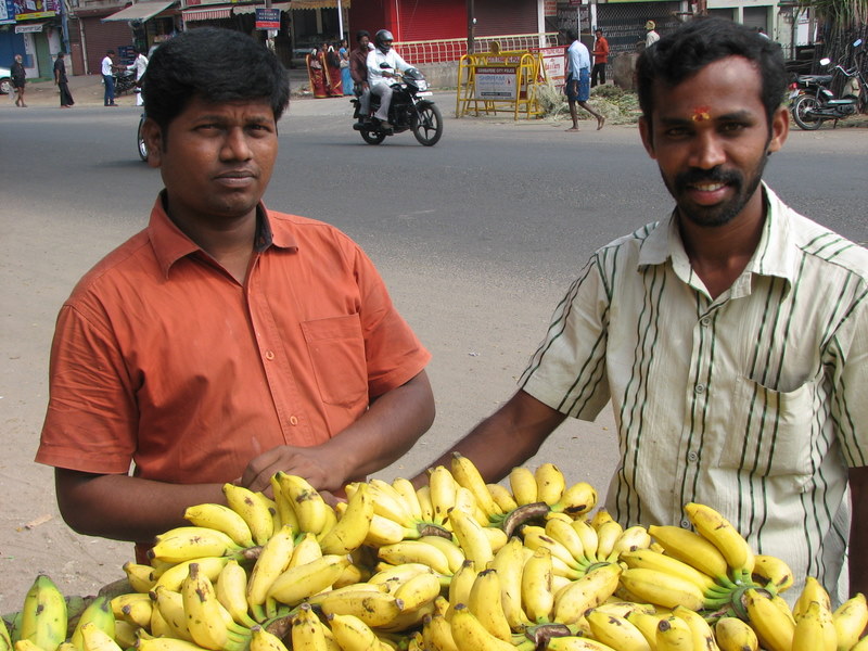 Ramblings and Musings: Pongal Day Celebration at Coimbatore