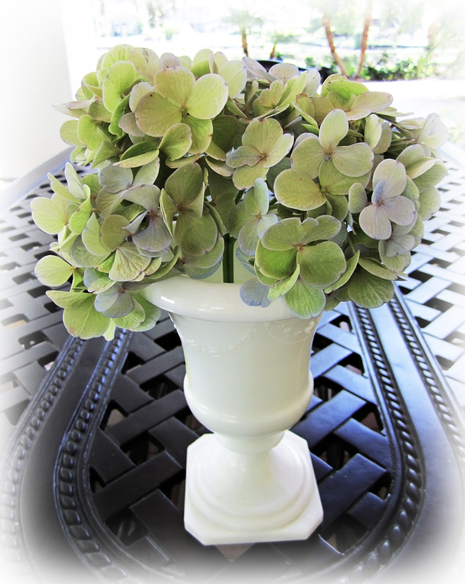 The Season to Dry Hydrangeas