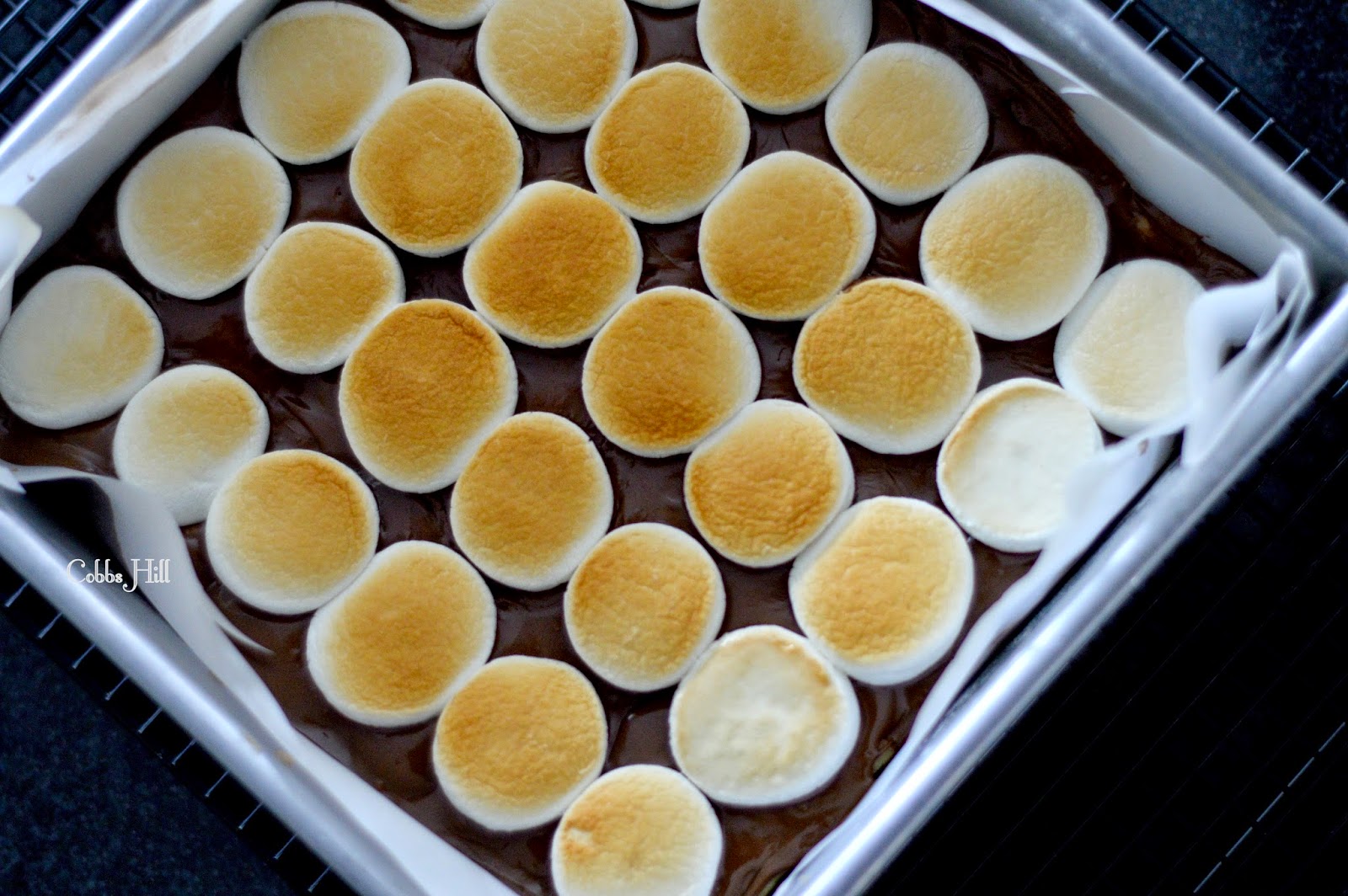 Cobbs Hill: elevated s'mores