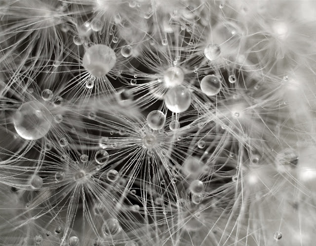 Surreal . Fine Art . Conceptual Photography/ Arts: Sandra McCabe's ...