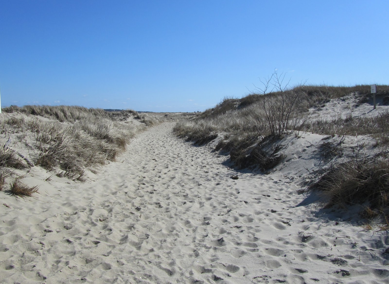 One Beach At A Time: Hardings Beach, Chatham, Massachusetts