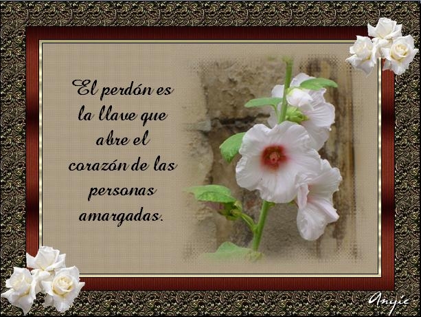 ® Imágenes y Gifs Animados ®: PERDÓN