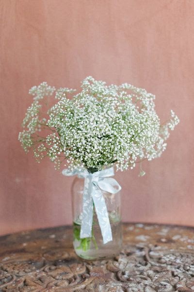 Studio Floral Dora Santoro: Gipsofila