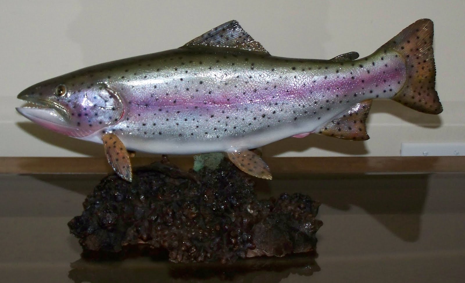 Custom Carved Fish: Rainbow Trout