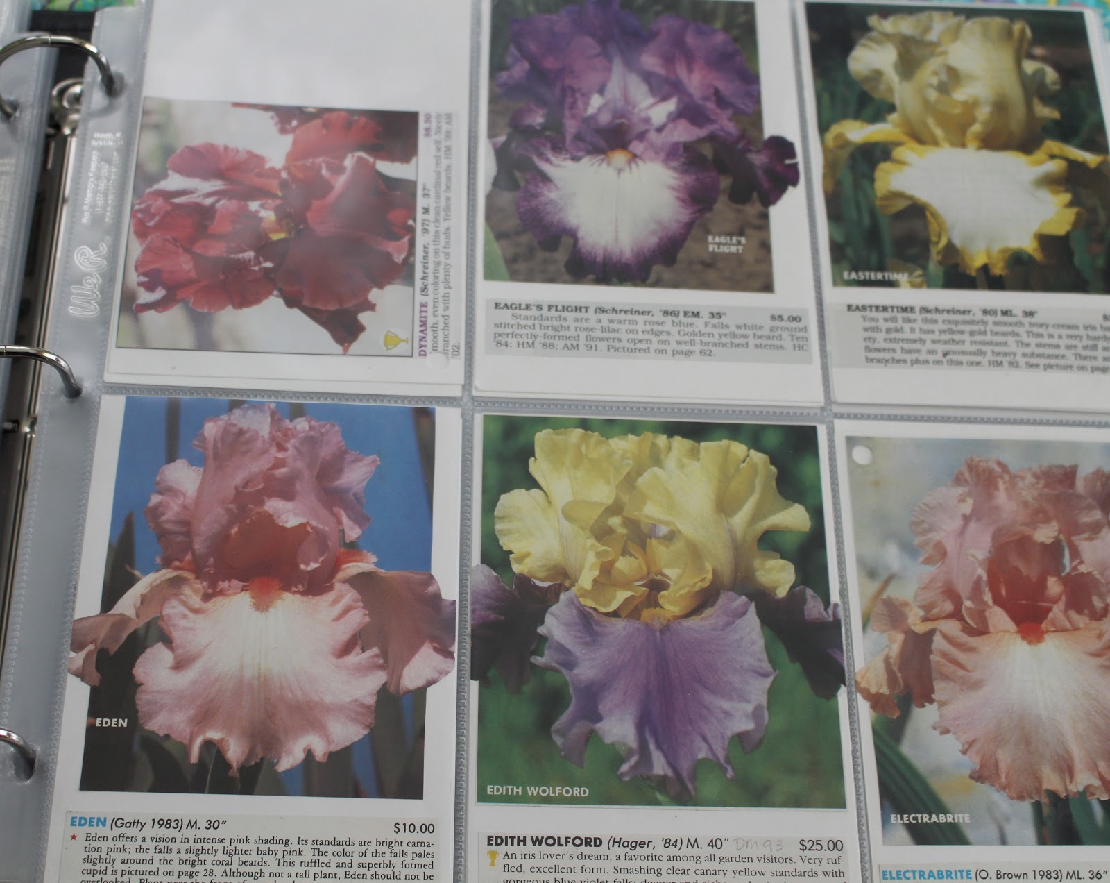 World of Irises: August 2015